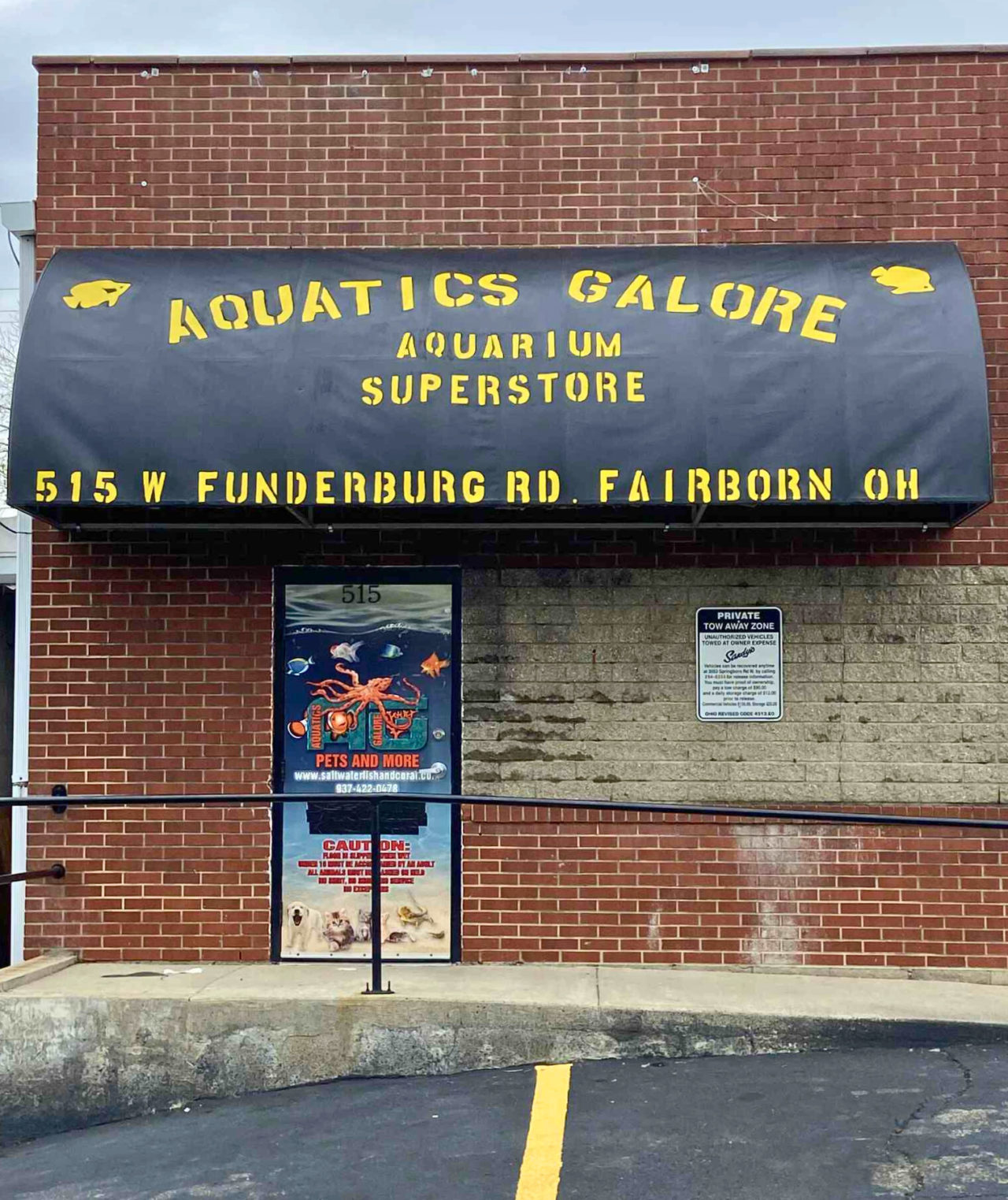 Ohio's Largest Selection of Saltwater & Freshwater Fish | Aquatics ...